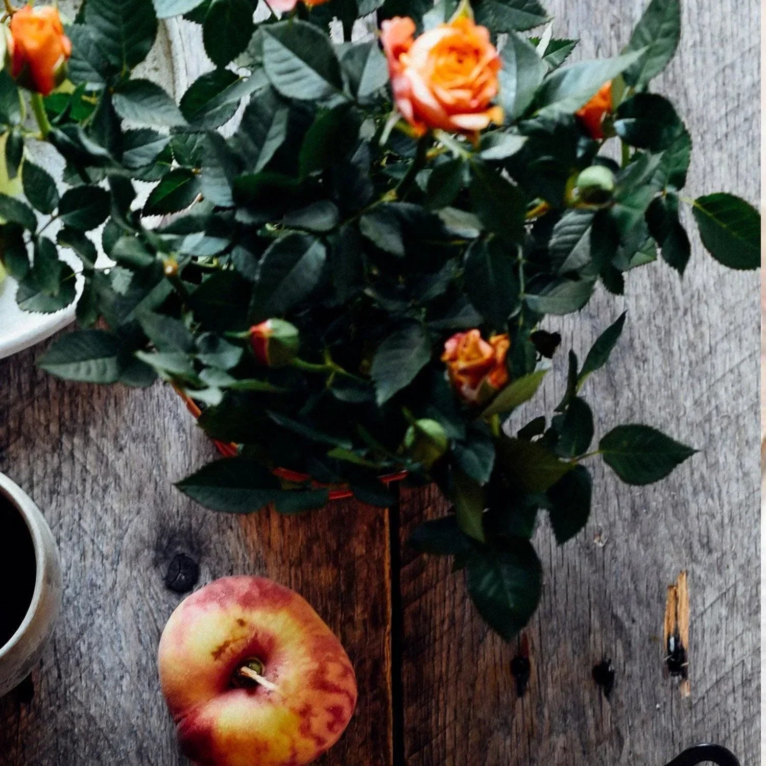 Rose & Peach - Fragrance Oil – Rama Candles