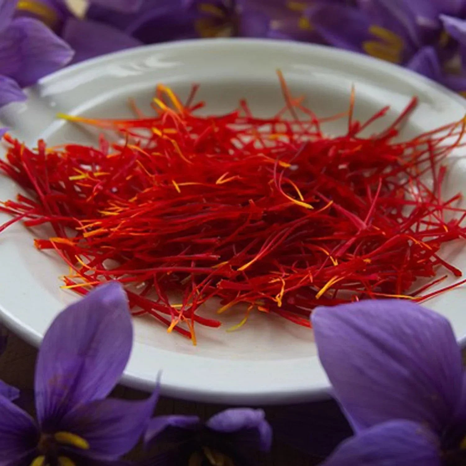 Saffron Fragrance Oil | Luxurious Spice & Warmth | Rama Candles